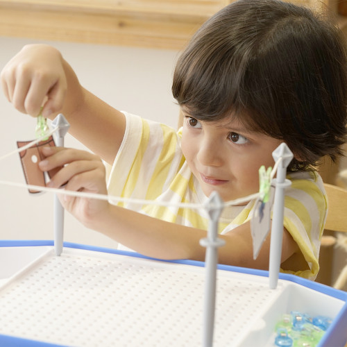 Cognitive Development